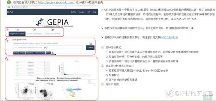 【科研工具包】转录因子预测及优化策略 ——JASPAR、NCBI、UCSC数据库联用_基因_序列_位点