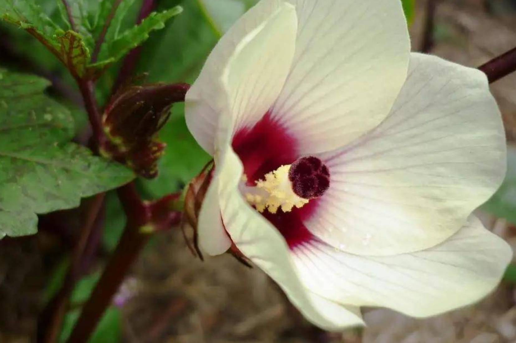 一生无忧不缺钱的4个星座，吉星送福，运势上升，万事顺心_狮子座_机会_天秤座