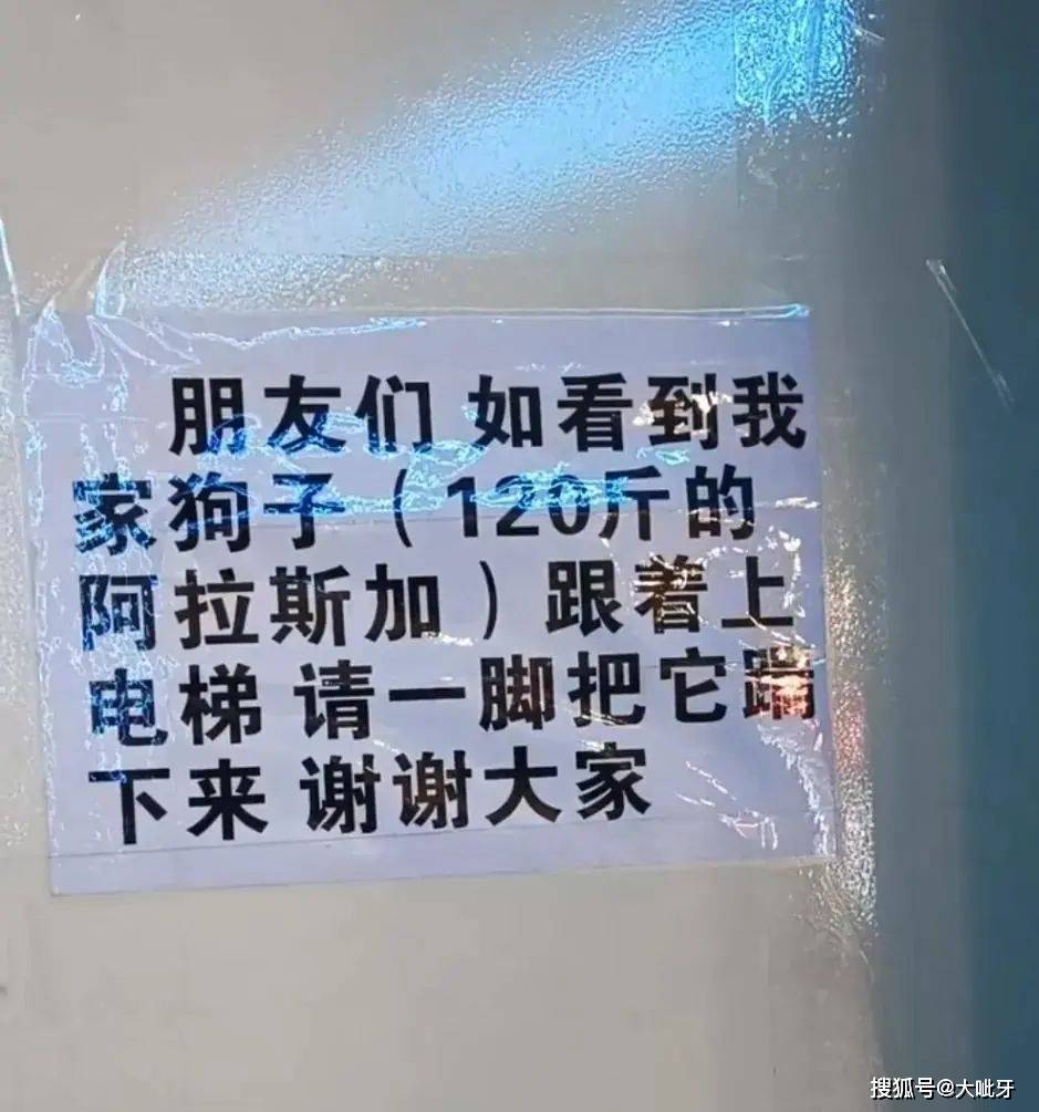 说实话，你觉得哪个年代的妹子最漂亮？ -6parkbbs.com