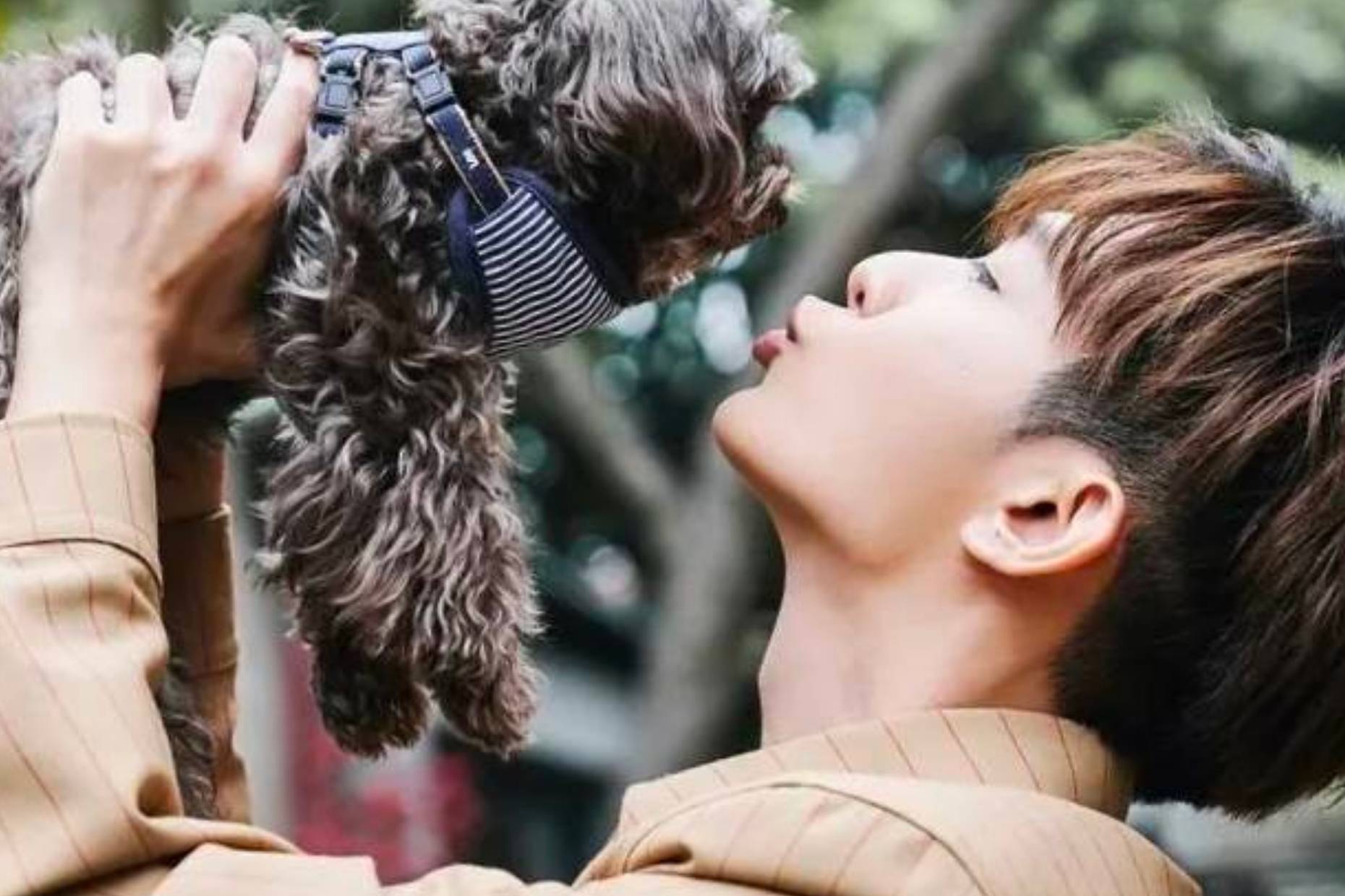 炎亚纶改名求神问卜，娱乐圈知名命理师为他取名转运！_名字_吴珞嘉_吴秉儒