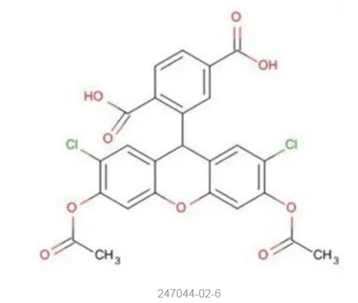 247044-02-6，6-Carboxy-H2DCFDA，荧光染料，在细胞检测方面具有重要作用_产品说明_技术文章_陕西新研博美生物科技有限公司