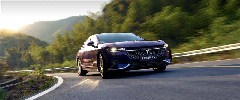 新闻女王助阵，硬刚BBA！岚图追光PHEV上市25.28万起！_搜狐汽车_搜狐网