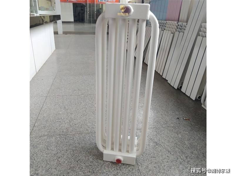 钢制柱型散热器YGH-III/600,弧六柱暖气片图片-搜狐大视野-搜狐新闻