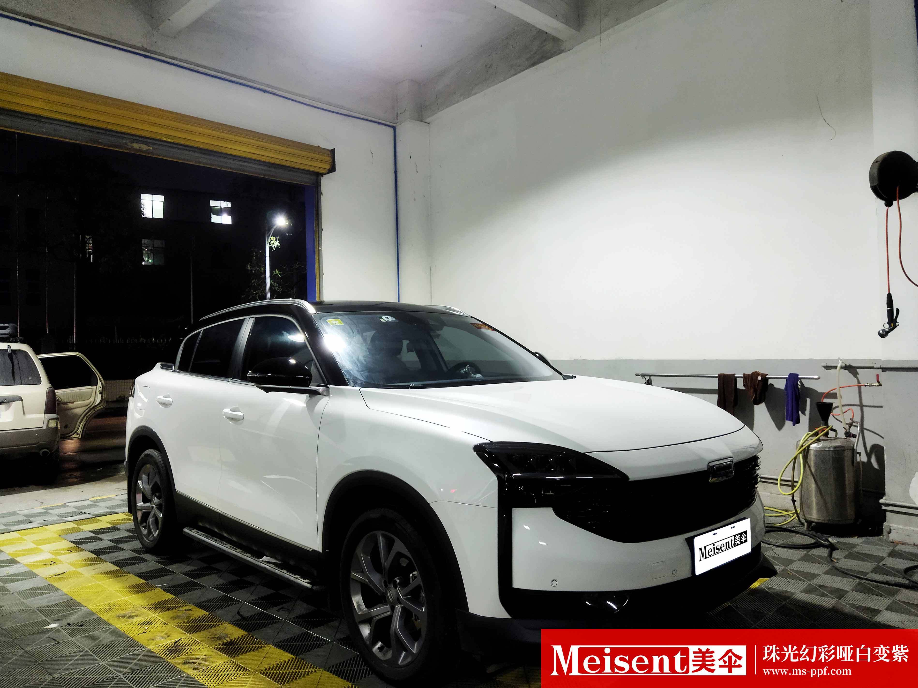 美国Meisent美伞进口高端改色膜 珠光幻彩哑白变紫--丰田塞纳_搜狐汽车_搜狐网