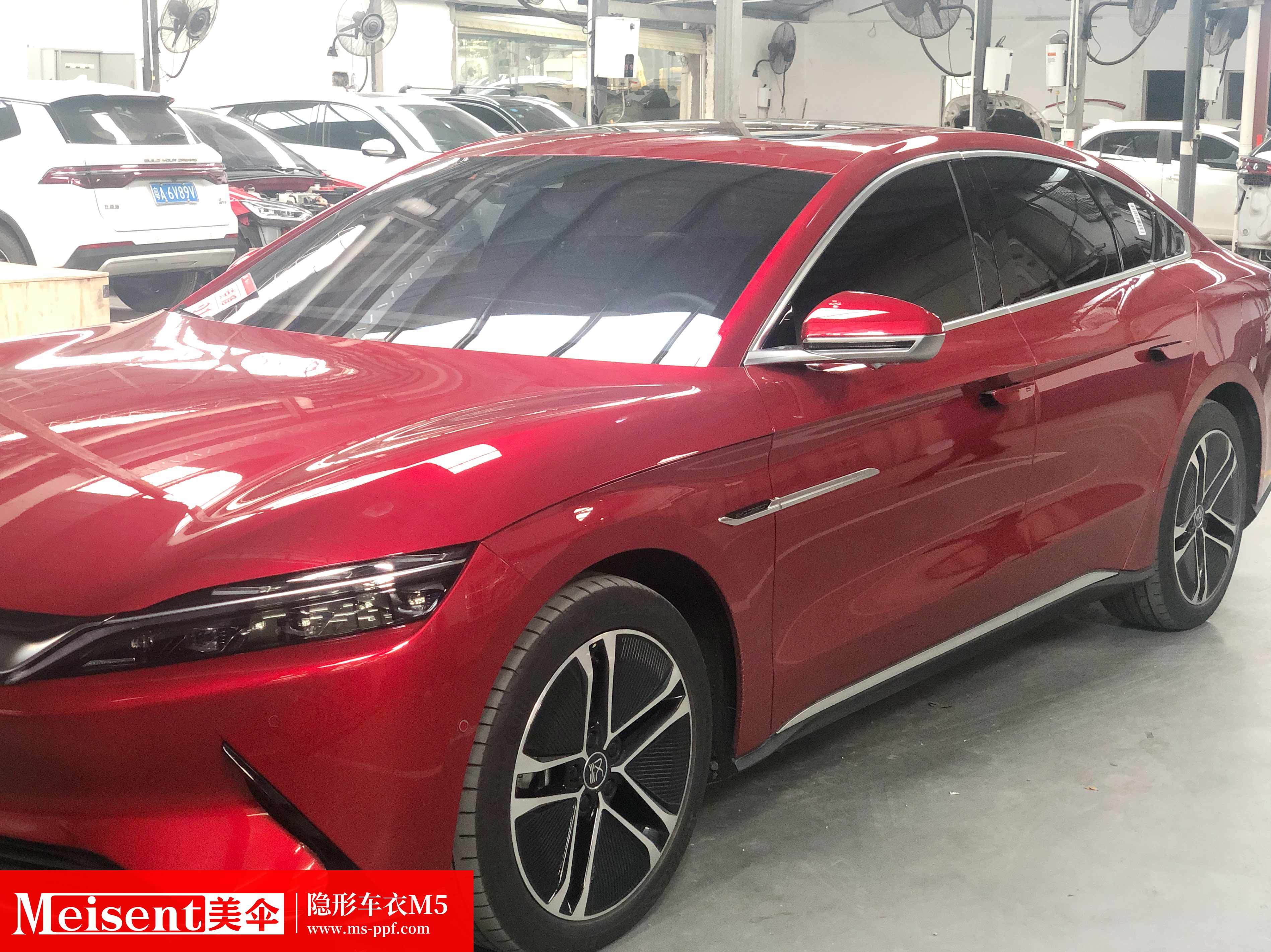 美国Meisent美伞进口高端车衣 M5--比亚迪汉_搜狐汽车_搜狐网