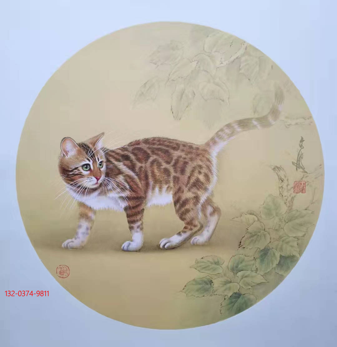 画家王文波国画猫作品集-搜狐大视野-搜狐新闻