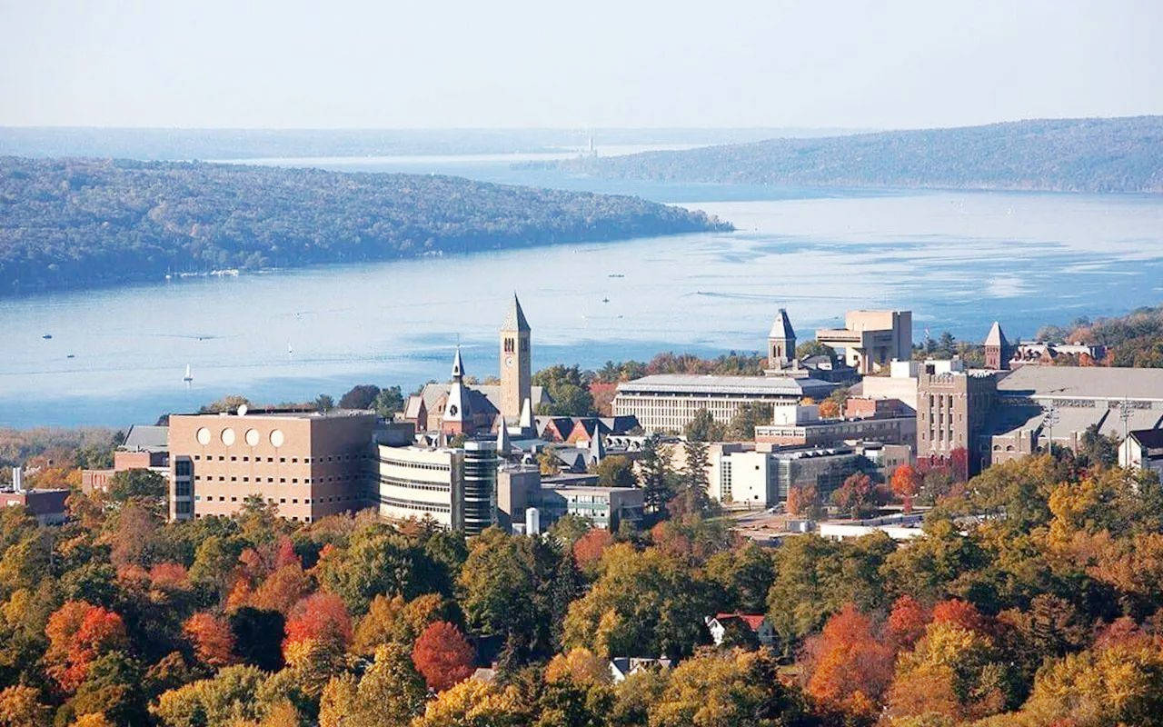 23fall美研申请：这些热门专业无需GRE，收藏一波~_硕士_News_项目