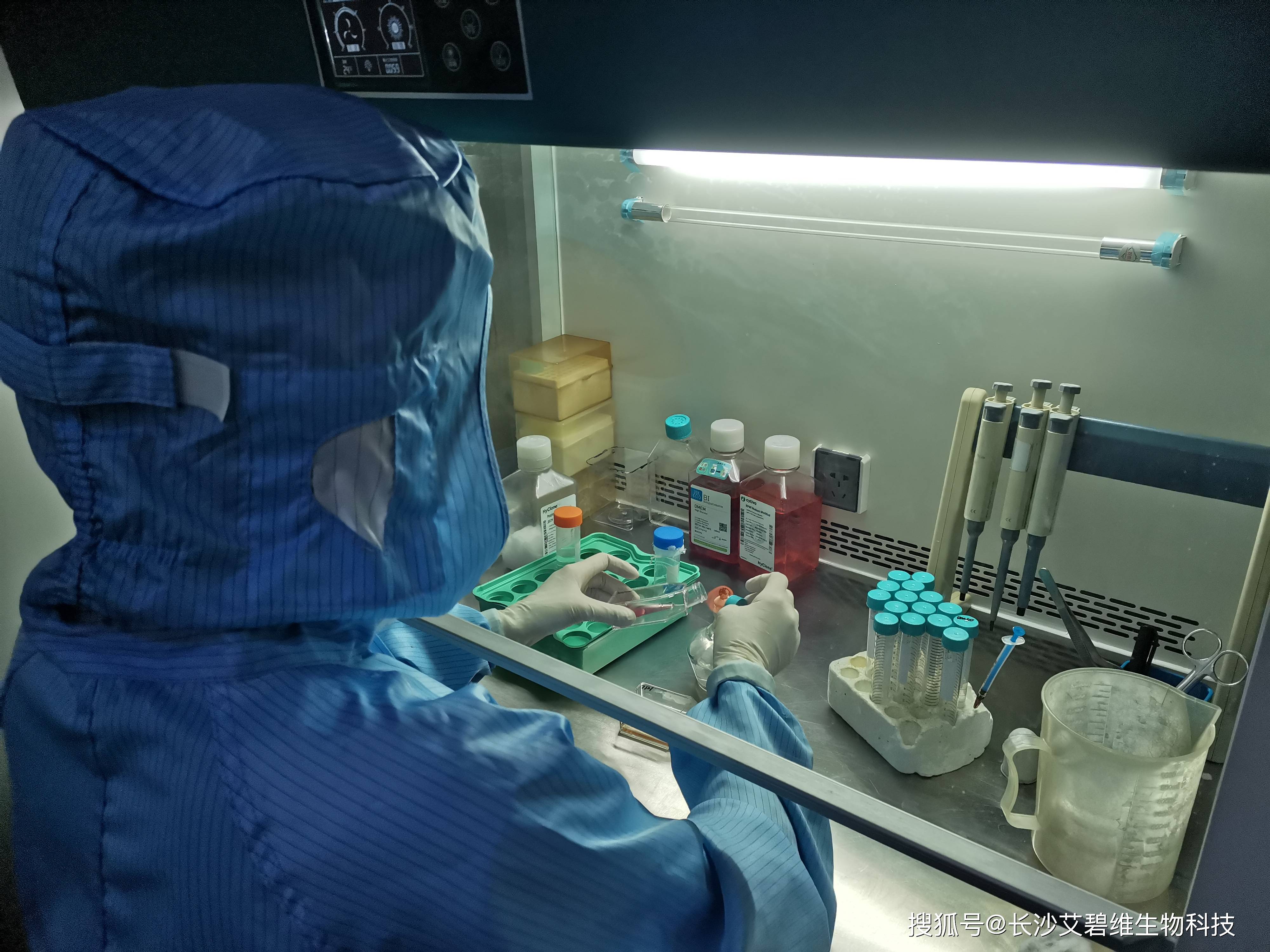 实验室图片--流式检测，免疫组化-搜狐大视野-搜狐新闻