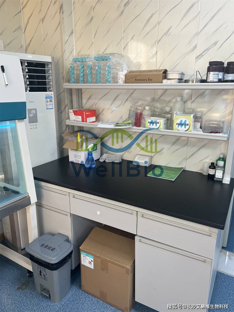 长沙艾碧维（Abiowell）实验室图片--细胞房-搜狐大视野-搜狐新闻