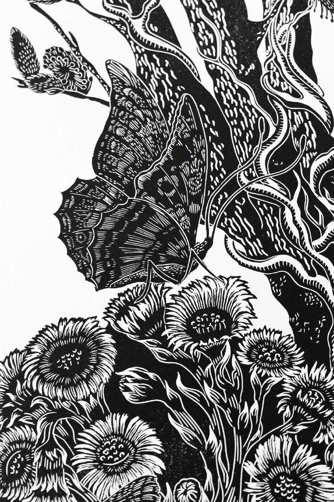 艺术家 Cally Conway 版画作品欣赏-搜狐大视野-搜狐新闻