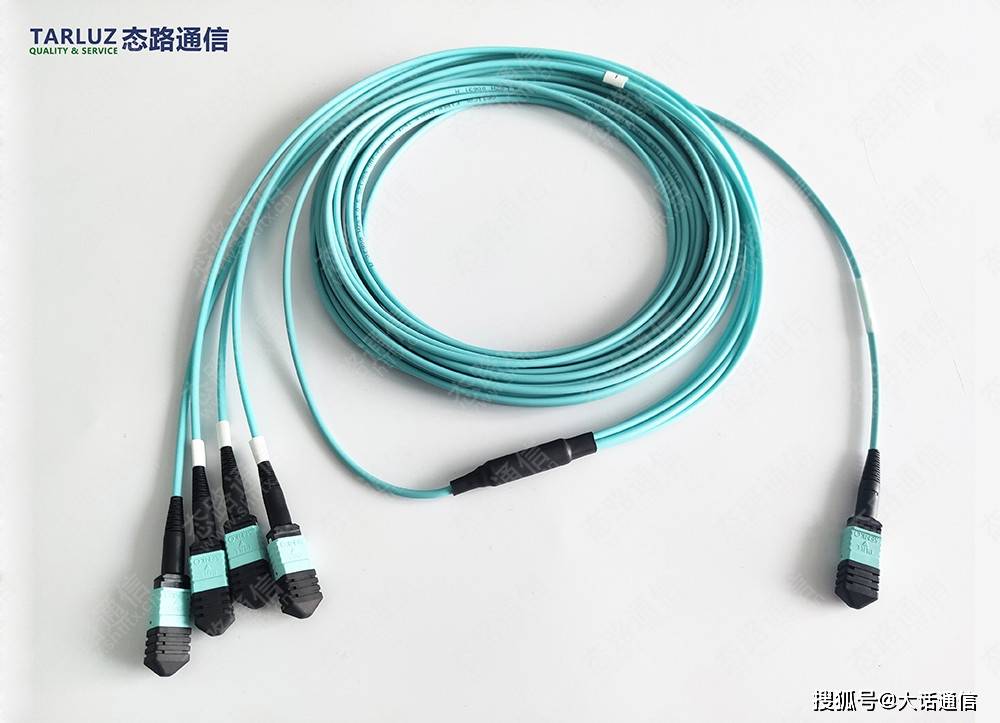 MPO转MPO分支光纤跳线8芯12芯16芯24芯48芯-搜狐大视野-搜狐新闻