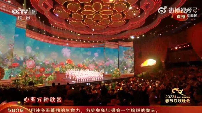 这届春晚算是把谐音梗玩6了!你最喜欢的梗是哪个 搜狐大视野 搜狐新闻