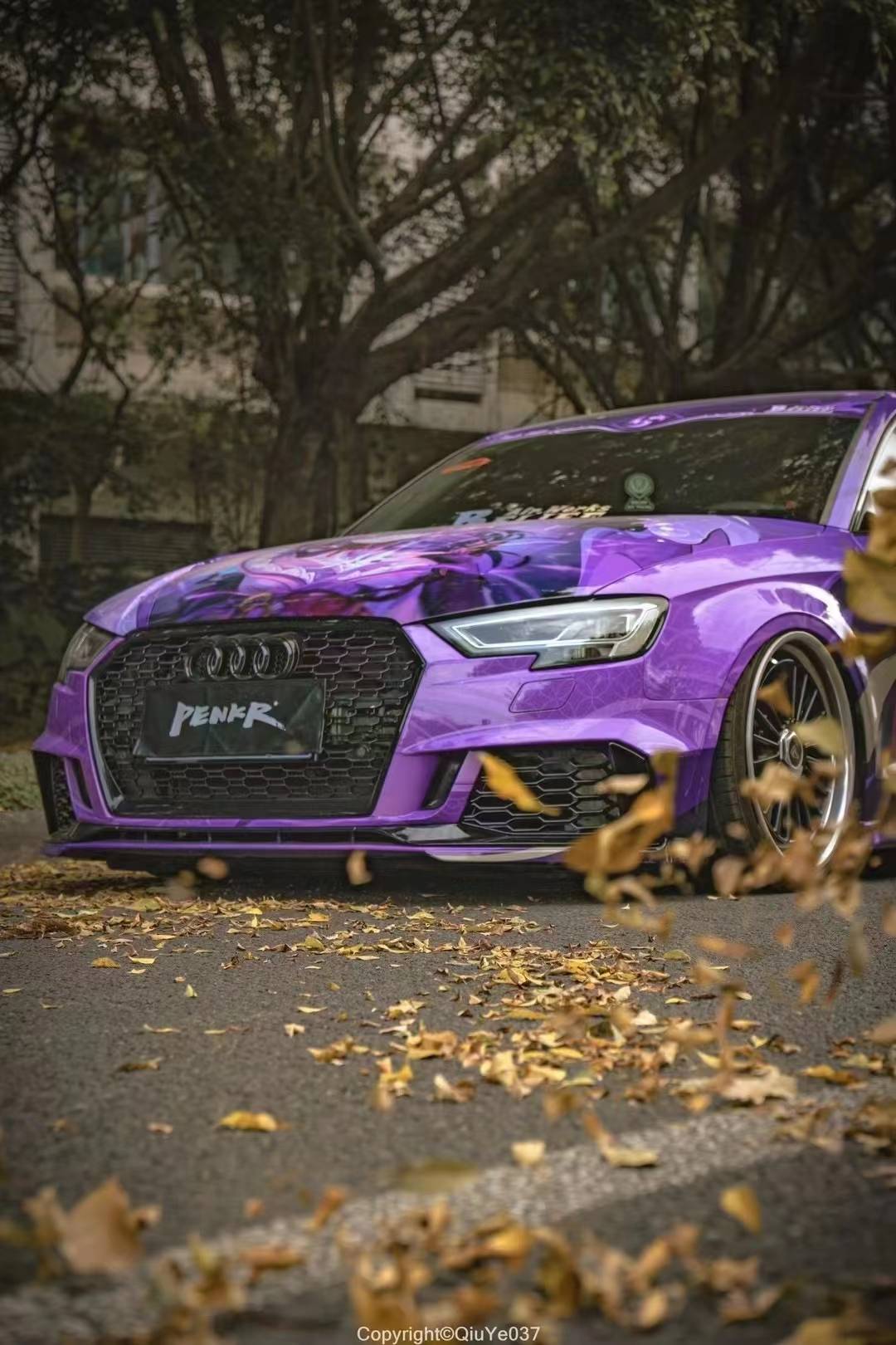 李洋讲述奥迪A3改装AIRBFT空气悬架减震器展示低趴姿态_搜狐汽车_搜狐网