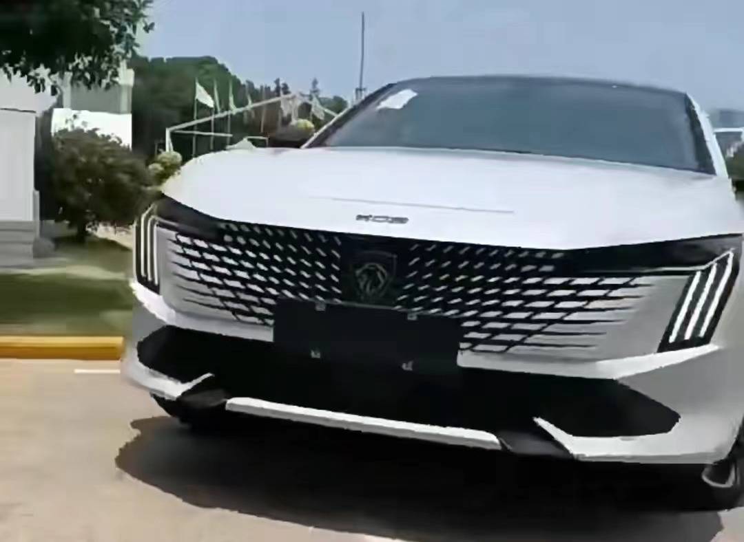 雅阁、凯美瑞同级，新款东风标致508L实车曝光，全新外观设计_搜狐汽车_搜狐网