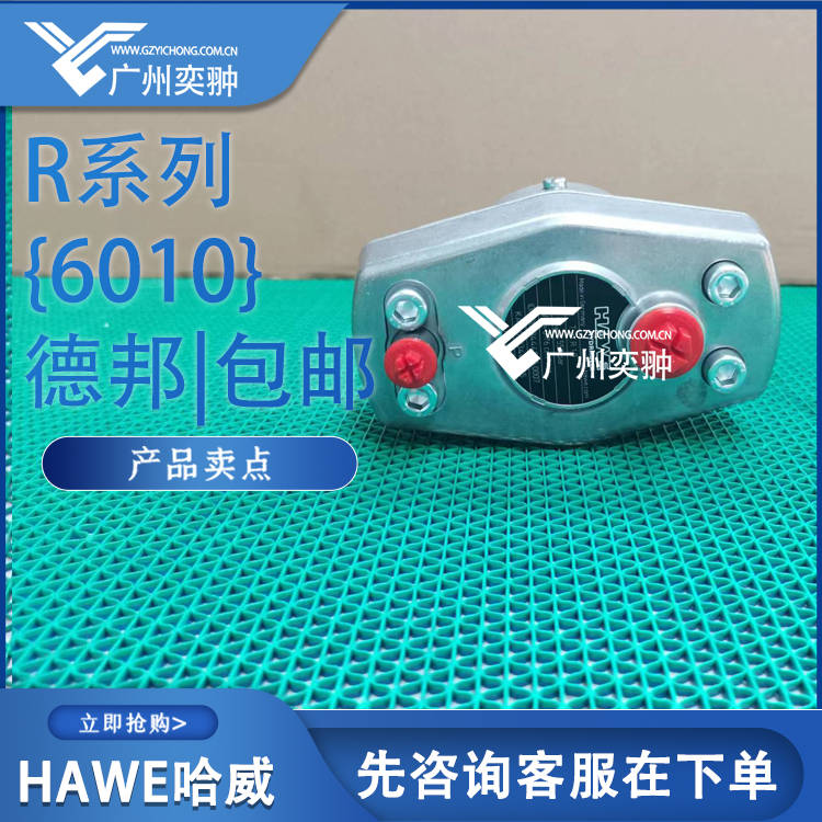 德国hawe哈威R系列R1.0柱塞泵到货实拍图-搜狐大视野-搜狐新闻