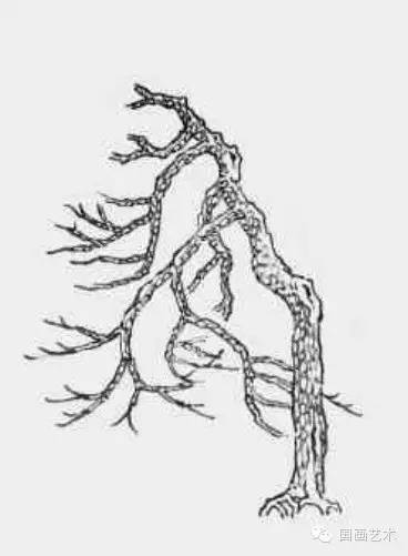 【图文示范教程】松树的画法_松针