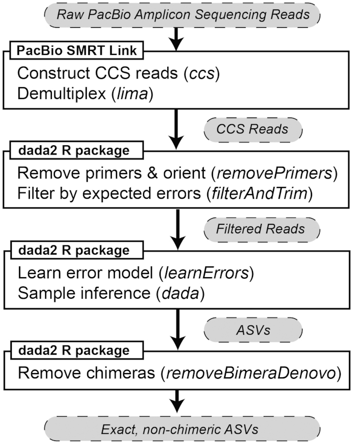 Nucleic Acids Research│PacBio CCS + DADA2→ASVs, not OTUs_Mock