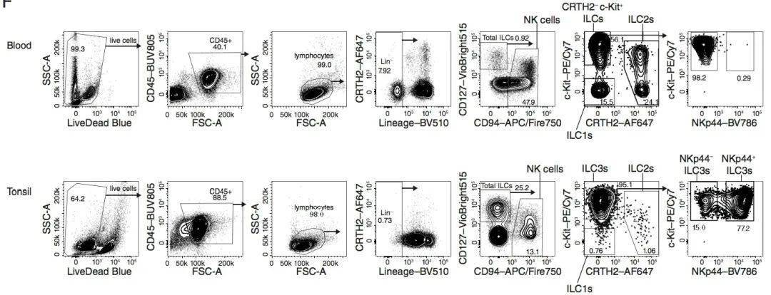 把ILC2再往下分，ILC3可能是其它ILC亚群的祖细胞_c-Kit