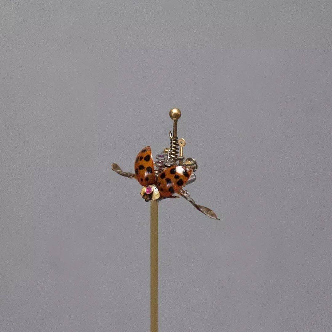 机械昆虫艺术家 Mike Libby-搜狐大视野-搜狐新闻