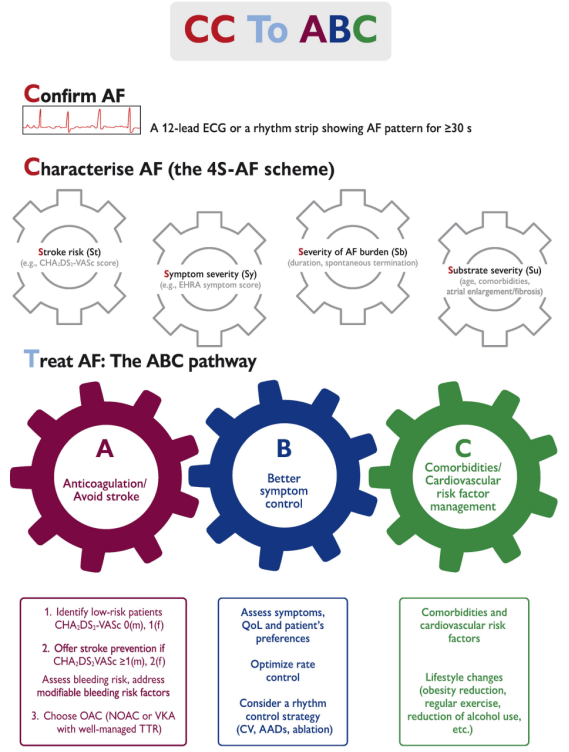 ESC 2020访谈丨Gregory Lip教授：ABC途径是ESC 2020房颤指南核心，简化抗凝策略更适合临床应用-搜狐大视野-搜狐新闻