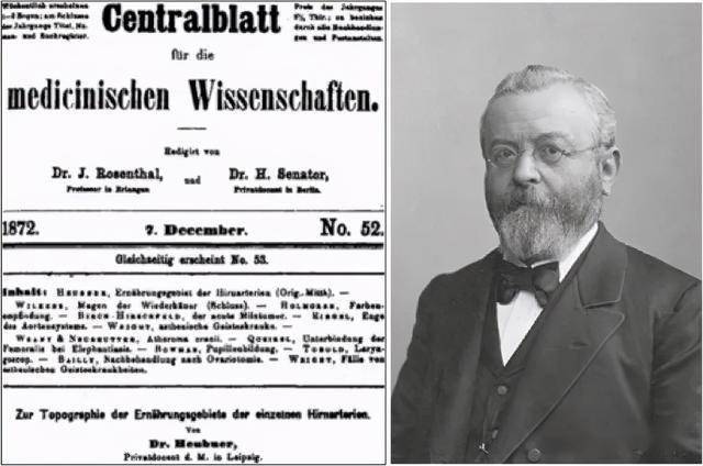 Heubner 证明软脑膜侧枝循环_动脉