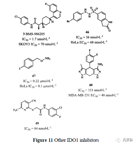 基于靶标IDO1、TDO 的抑制剂研究进展_免疫