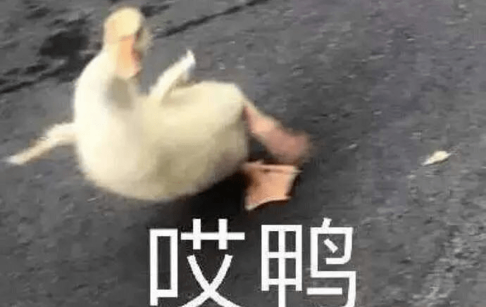 老外说的Oop，EW，Gee ......都可以翻译成“卧槽”？_been