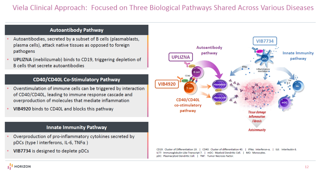 速递 | 约30亿美元囊获自身免疫性疾病药物管线，Horizon拟收购Viela Bio_治疗