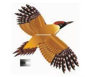 行为视光学诊所必备利器-VTS4_训练