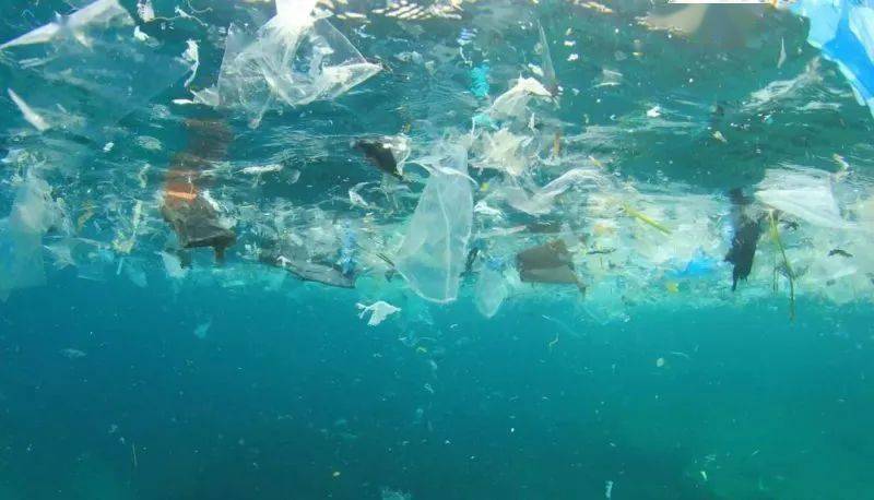 PLA、PBAT、PBS等性能与应用比较_塑料