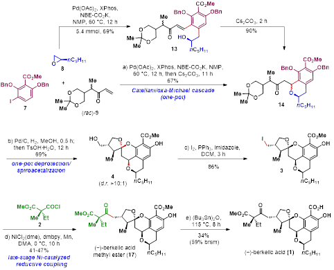 Angew. Chem.：Catellani反应策略助力天然产物(–)-berkelic acid的高效全合成_化合物