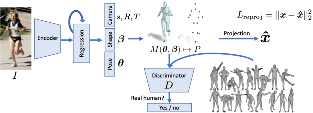 3D Human相关研究总结：人体、姿态估计、人体重建等_mesh