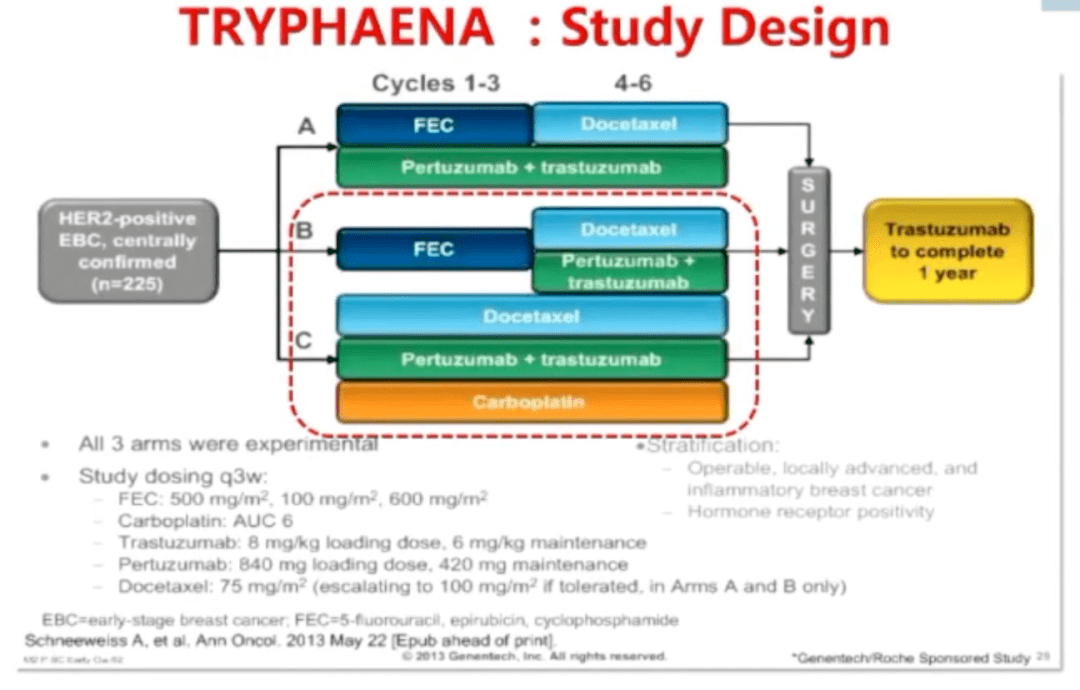 2021版CSCO乳腺癌指南：HER2+早期乳腺癌新辅助治疗更新要点解读丨2021 CSCO BC_方案