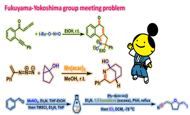 Fukuyama-Yokoshima group meeting problem 5_doi