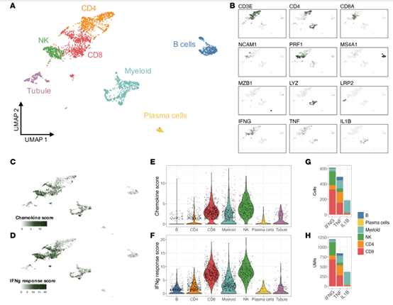 RayBiotech抗体芯片在狼疮性肾炎研究中的应用_患者