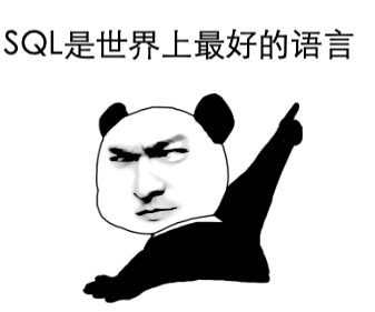 SQL 是数据时代最持续赚钱的语言_语句