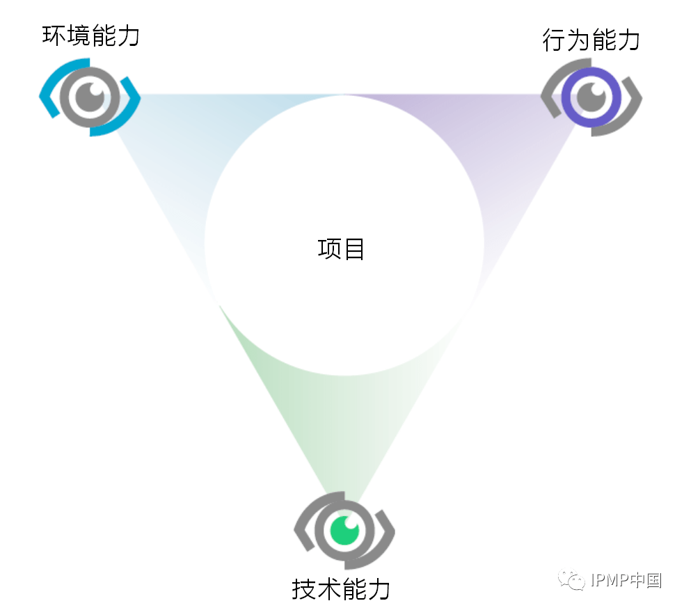 【ICB 4.0科普】环境能力要素-战略_管理