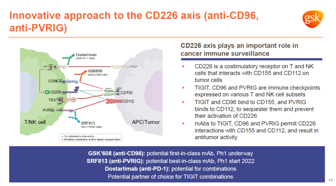 速递 | 逾20亿美元助力开发抗TIGIT抗体，GSK加码布局新一代癌症免疫疗法_iTeos