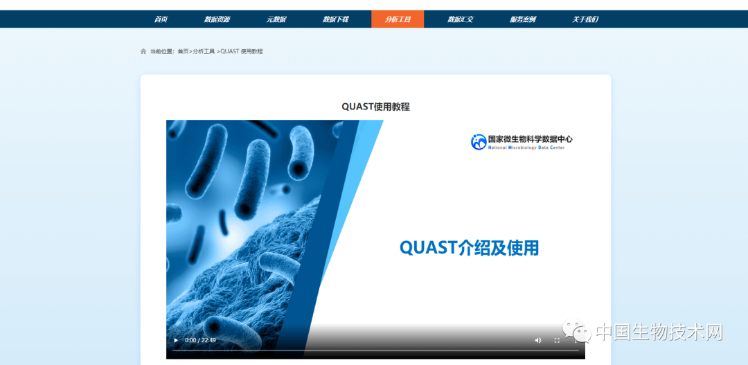 微课堂：QUAST——国家微生物科学数据中心云工具_分析