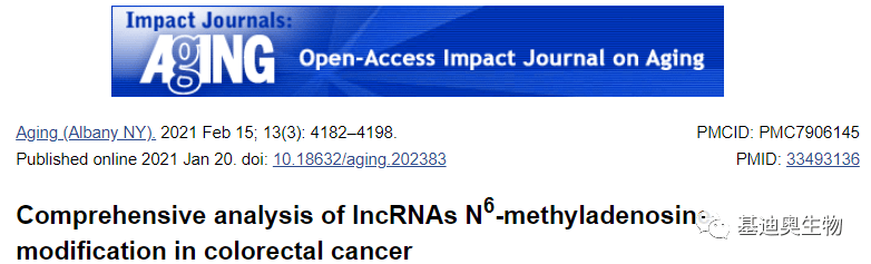 lncRNA＋m6A：这个神奇组合“不同凡响”_调控