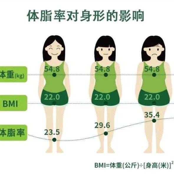 整日讲肥！体脂率是最诚实的胖瘦标准，按公式自测一下吧a B 