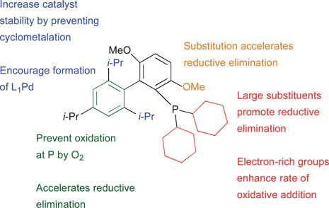 Buchwald-Hartwig反应_t-BuOK