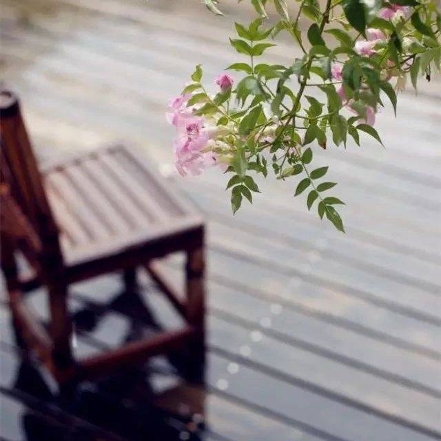 默 契 （写的真好）感情