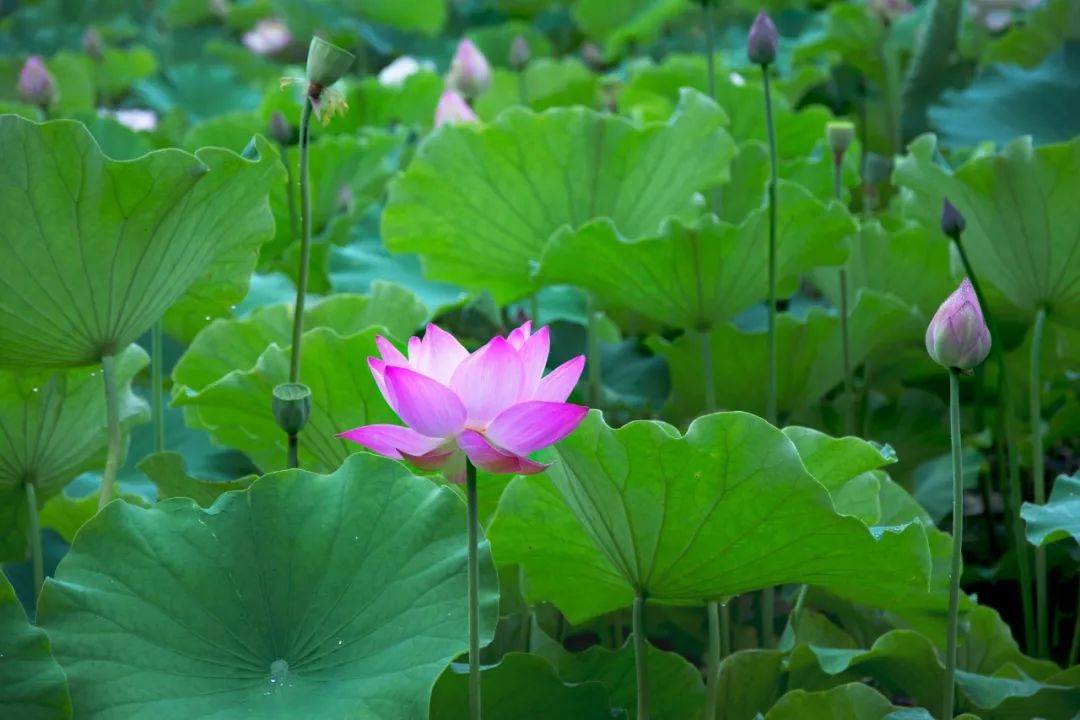 余生,自己说了算什么
