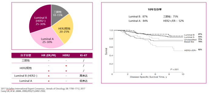 郝春芳教授：HER2 低表达乳腺癌靶向治疗的现状与进展 | 2021 CSCO_研究