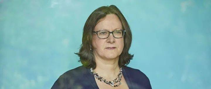 原来Elisabeth Bik是用了这个图片查重神器？_pdf