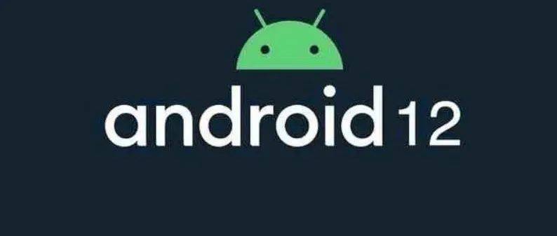 来了，Android 12 适配简介！_Screen