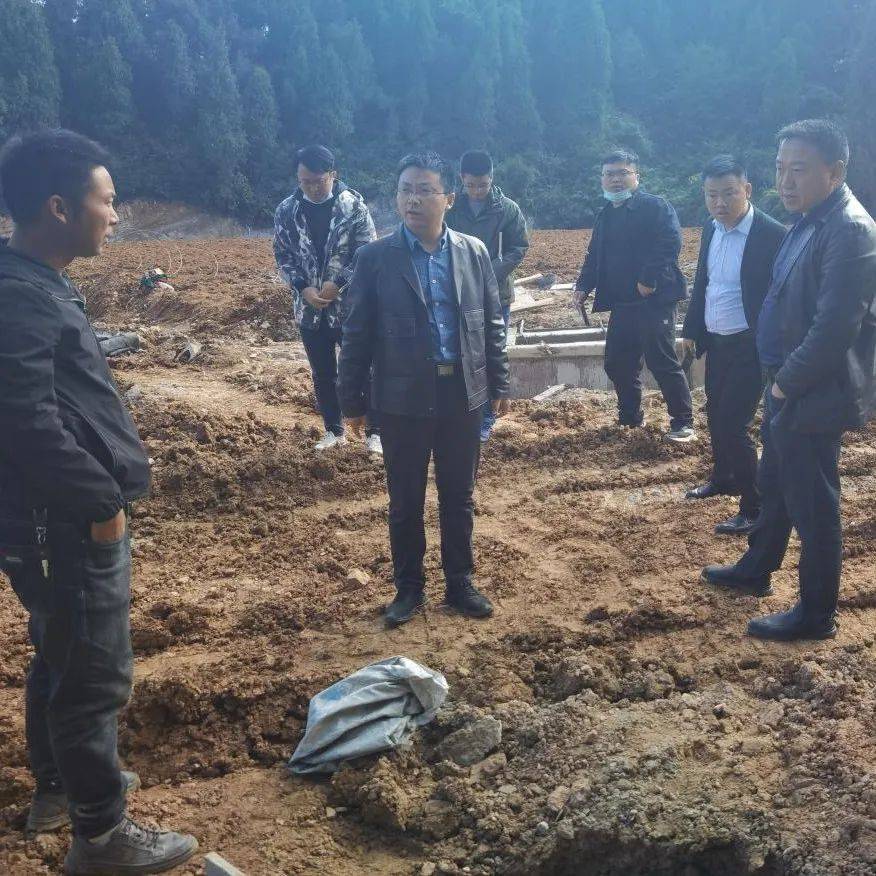 马结华到盘石天一尾矿库调研生态修复工程推进情况工作 