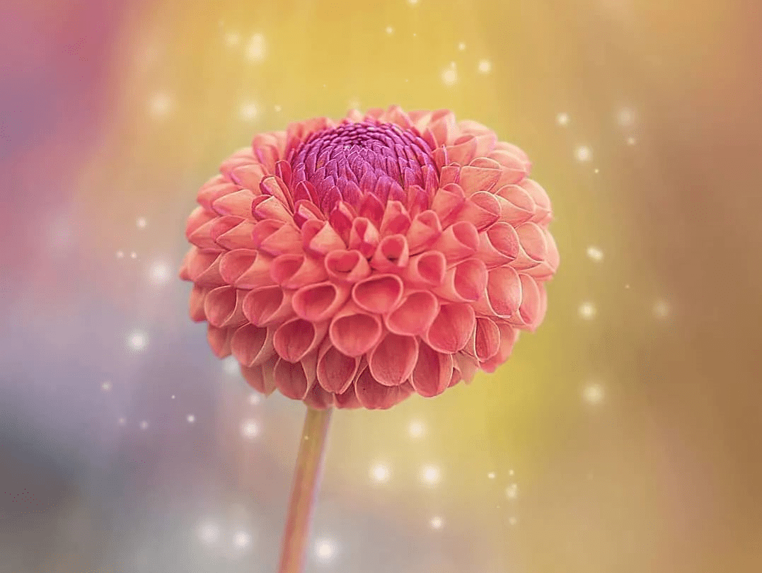 ۞ 每 日 一 悟 ۞人生