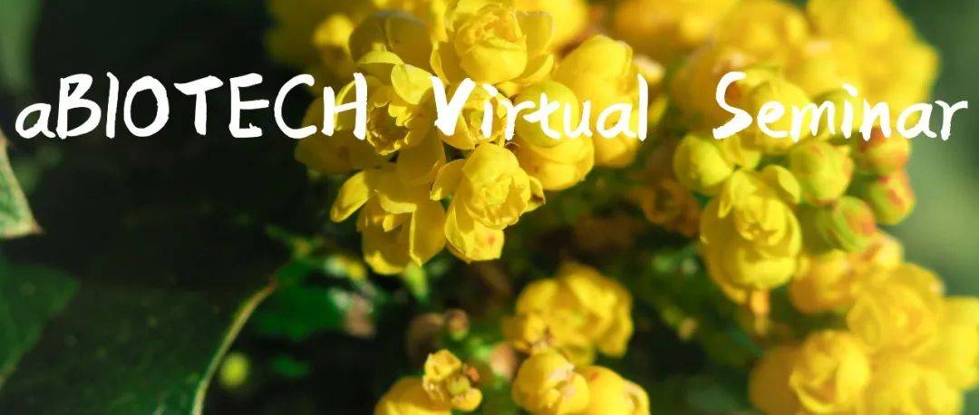 aBIOTECH直播预告 | Li Li-通过类胡萝卜素代谢改善作物营养品质_植物